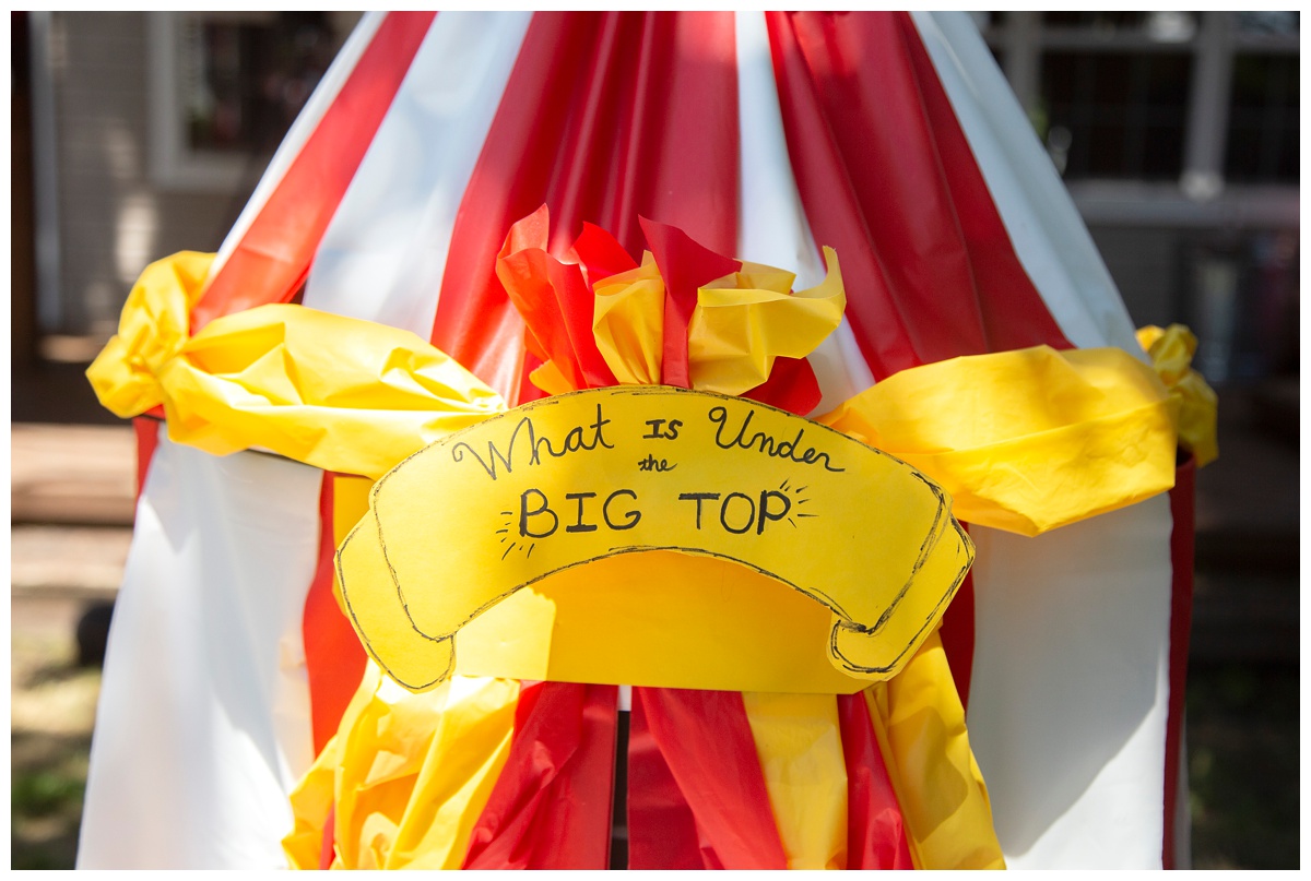 Circus-Themed, Baby Vance Reveal - Natalie Kent Photography