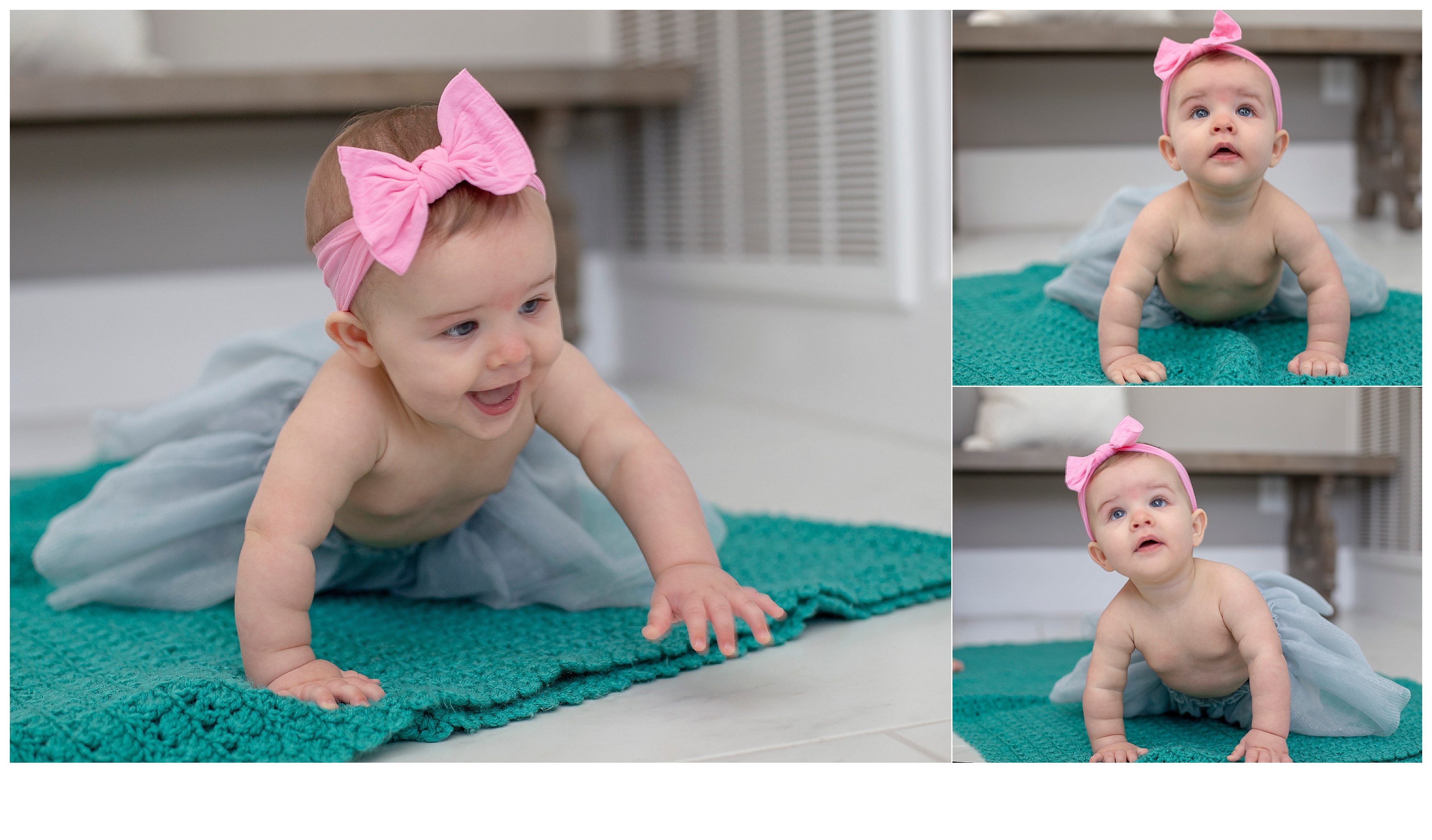 Stahr Family | Hampton Roads Photographer - Natalie Kent Photography